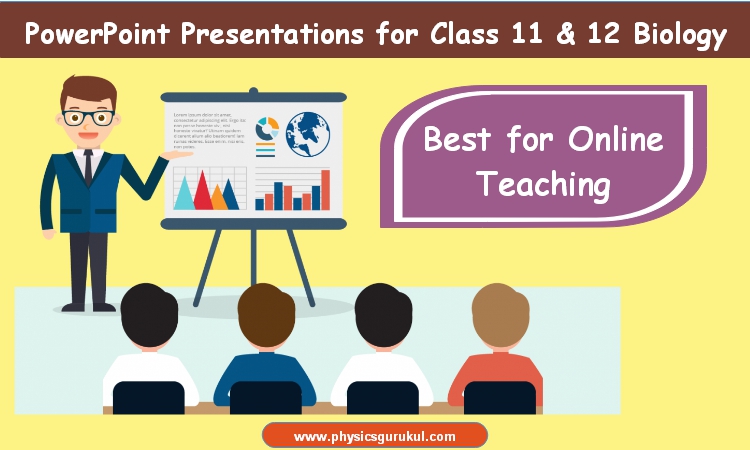 Class 11 and 12 Biology PPT for Online Teaching - Gurukul of Excellence